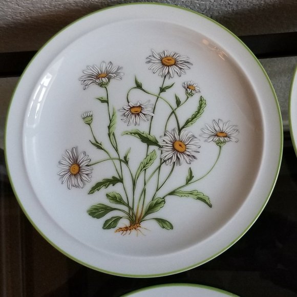 Royal Domino | Dining | 4 Royal Domino Wild Daisy Salad Plates | Poshmark